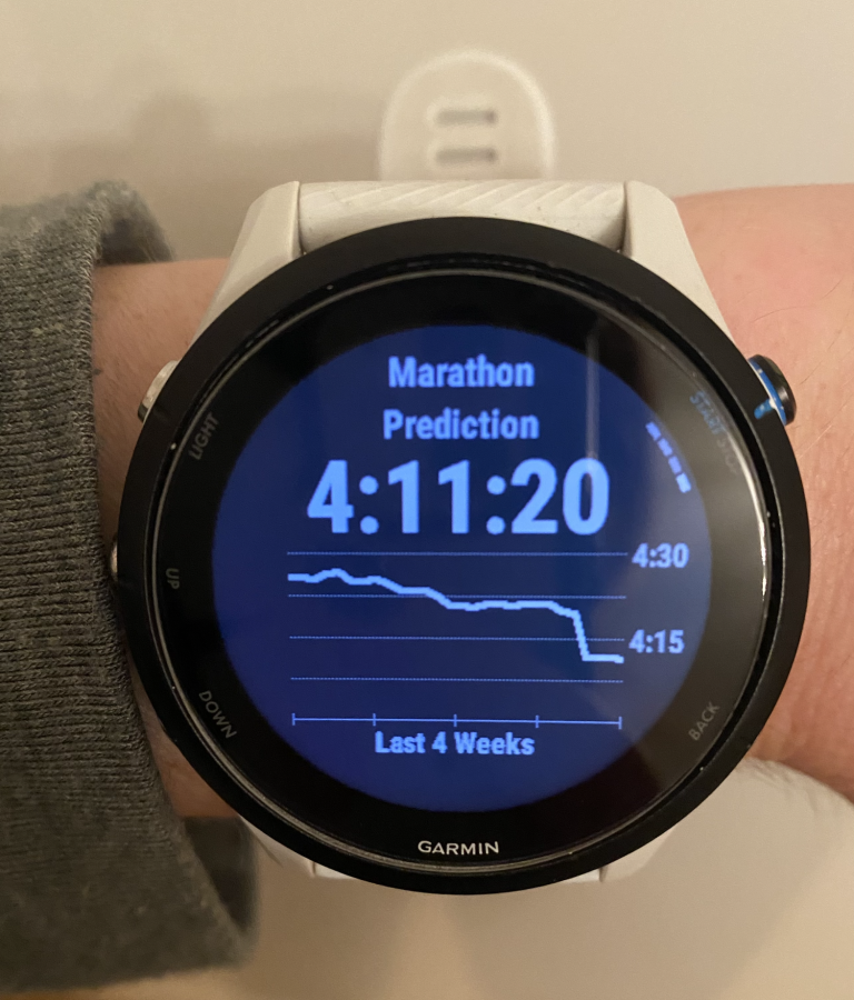 Runna vs Garmin Coach: Which is best?